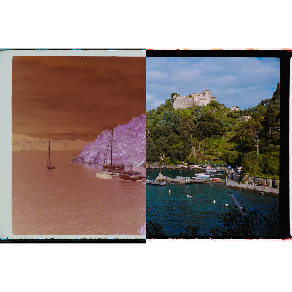 CineStill CS Negative+ Convert Tools v1.2 with SpectraCOLOR™ for Adobe ...